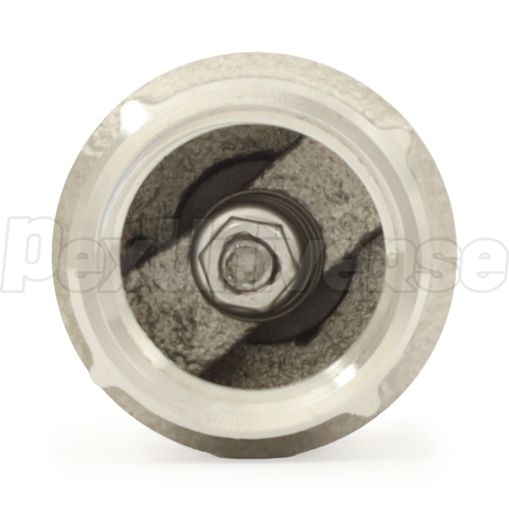 1" FNPT Stainless Steel Spring Check Valve, Lead-Free - PexUniverse
