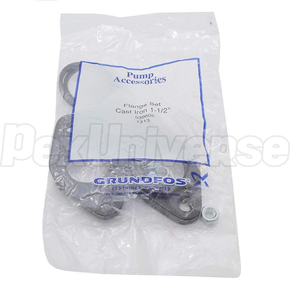 Grundfos 539605, GF40/43, 1-1/2" NPT Cast Iron Flanges (Pair) - PexUniverse
