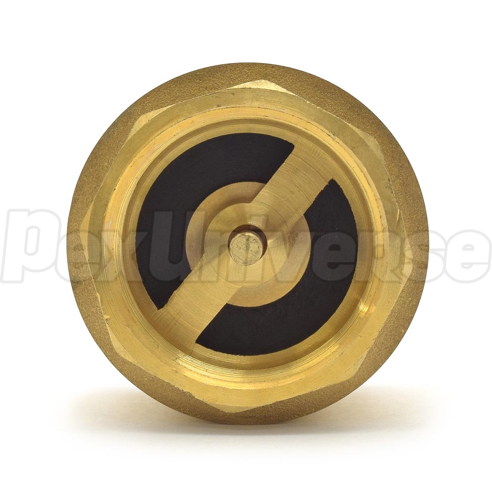 1-1/4" Threaded Spring Check Valve | PexUniverse