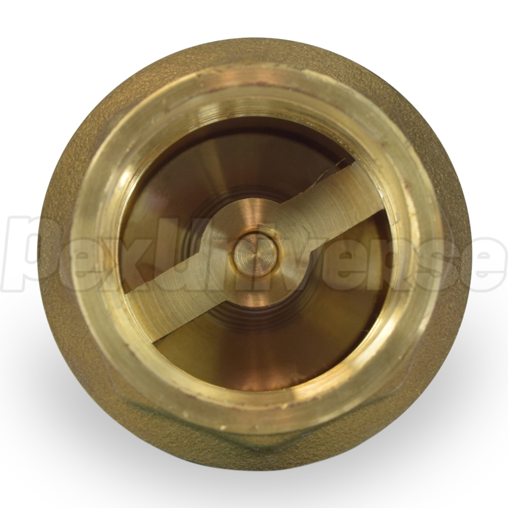 1" Threaded Spring Check Valve, Lead-Free - PexUniverse