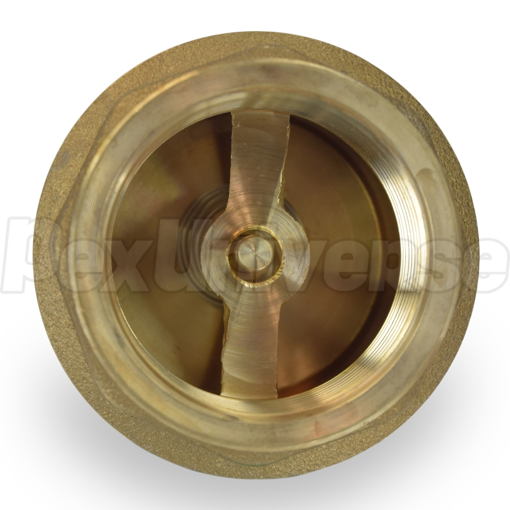 1-1/4" Threaded Spring Check Valve, Lead-Free - PexUniverse